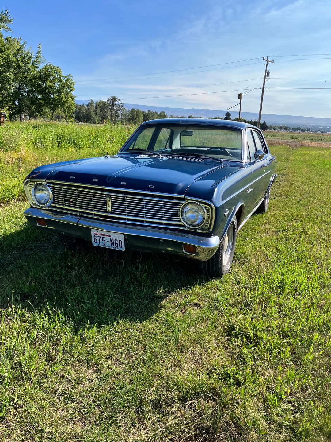 Ford Falcon Marketplace